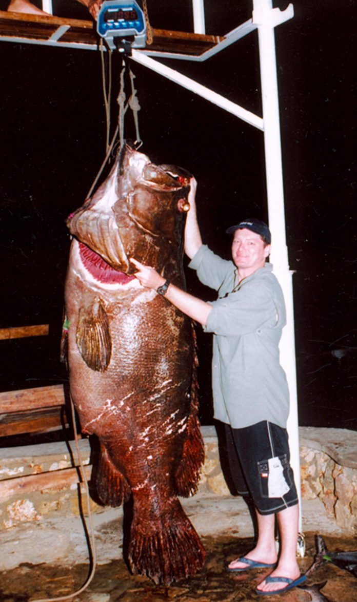 Local Catch: Grouper | Port City Daily