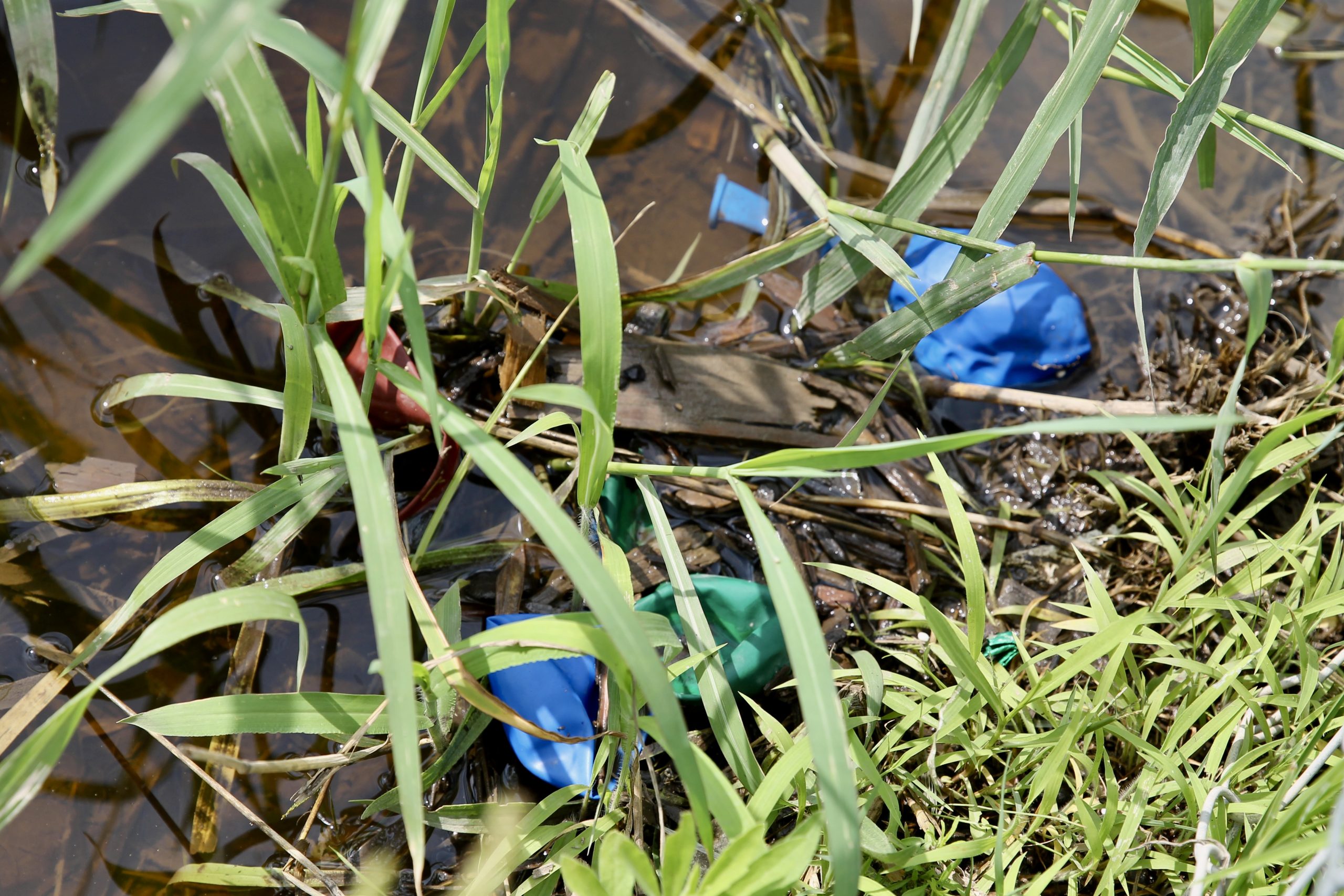 Deflated balloons along river appear to be remnants of nitrous oxide ...