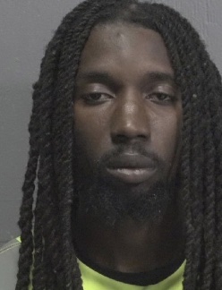 Day after authorities find missing girl, half-brother charged with ...